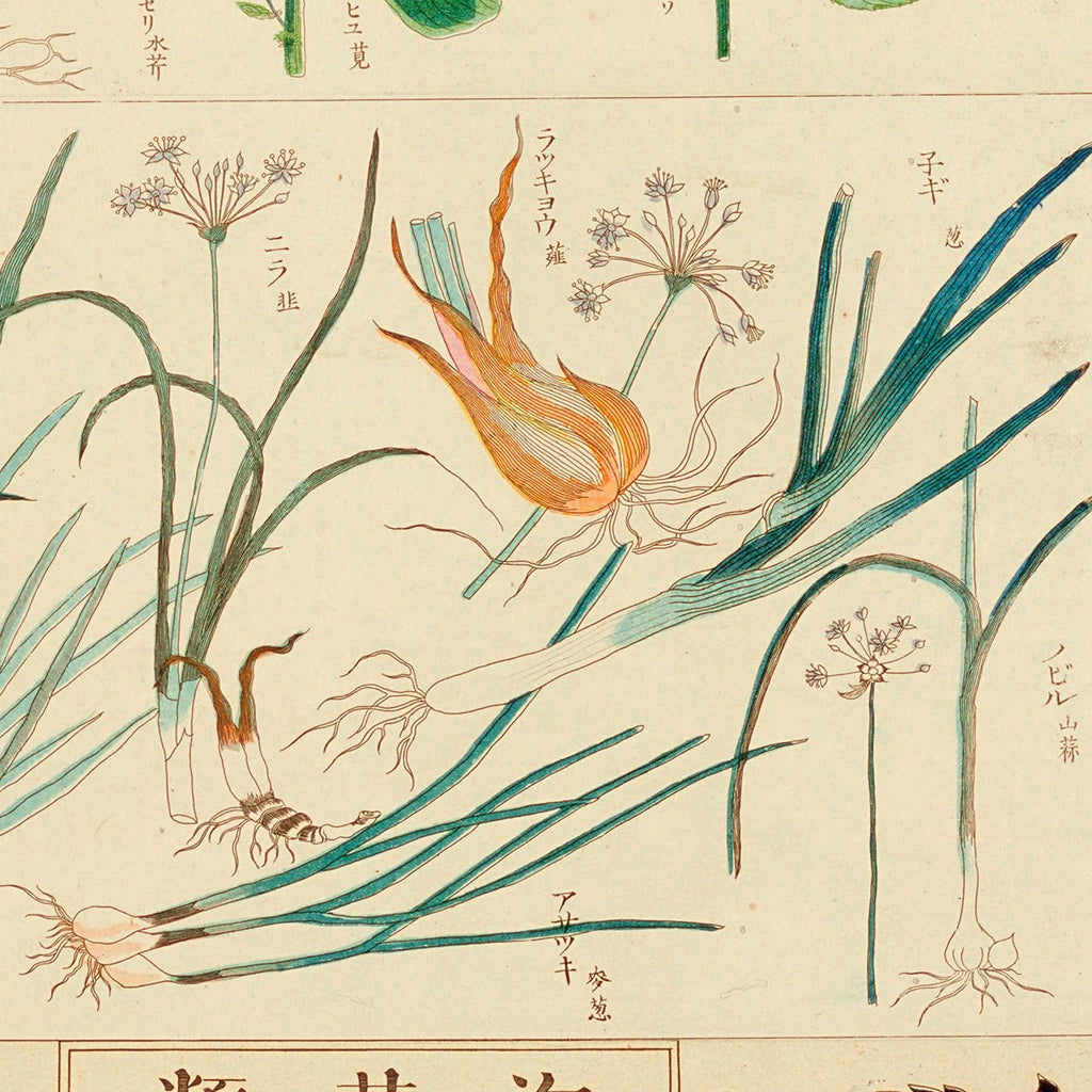 Chart of plants Prints & Posters - Japonica Graphic