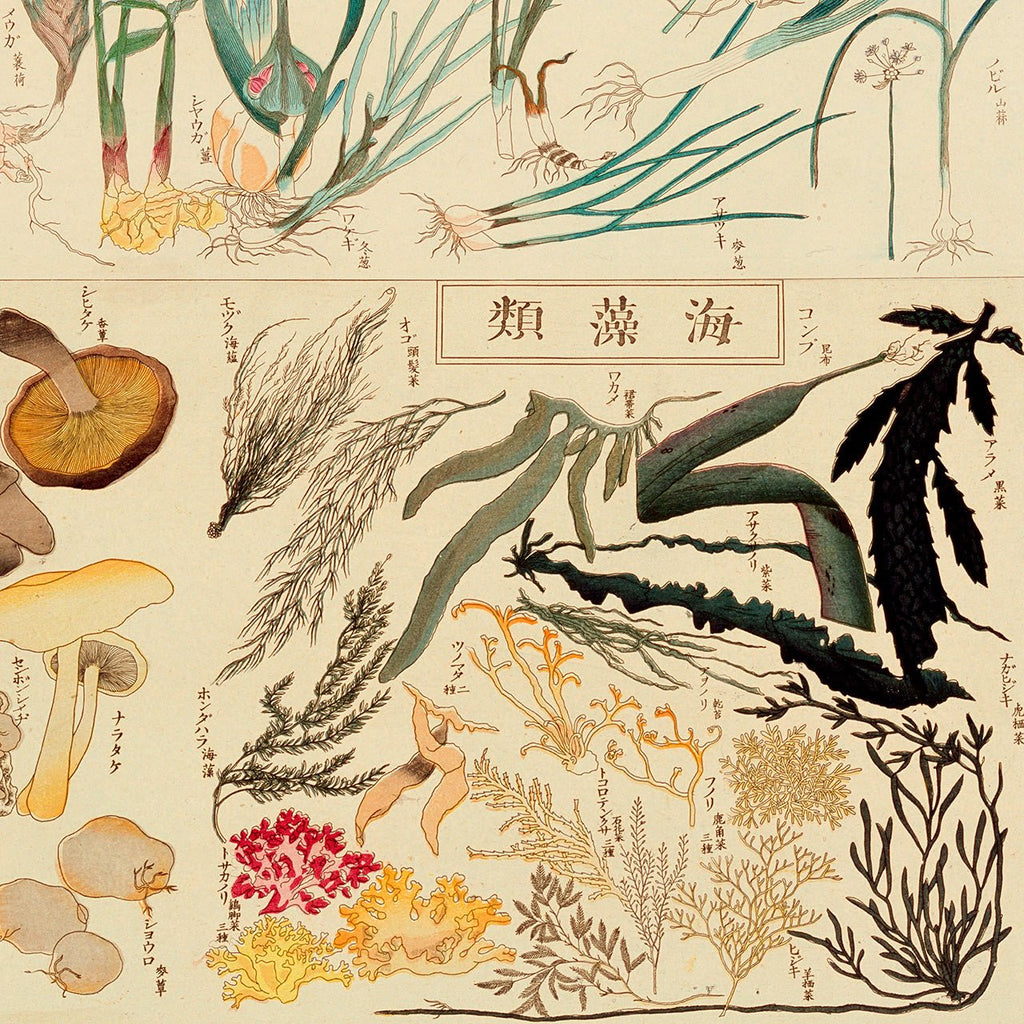 Chart of plants Prints & Posters - Japonica Graphic