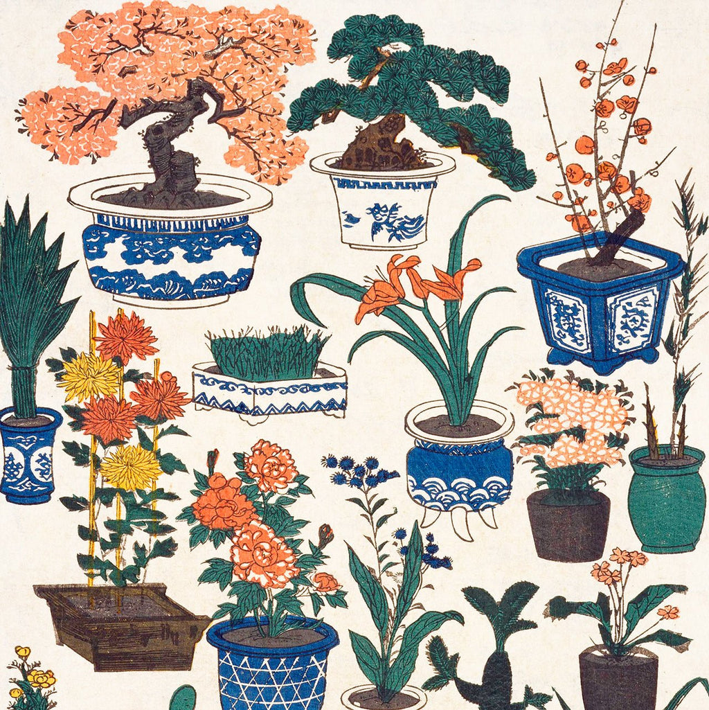 Omocha-e Prints & Posters - Japonica Graphic